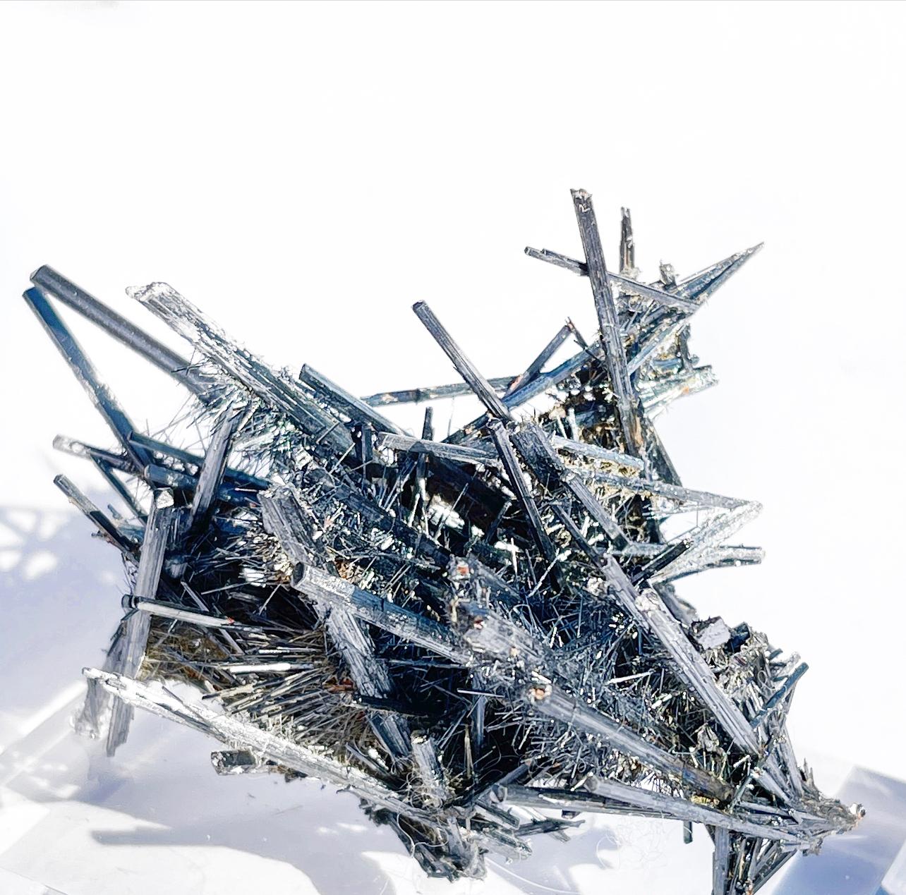 Organic Punk – ORGANIC PUNK